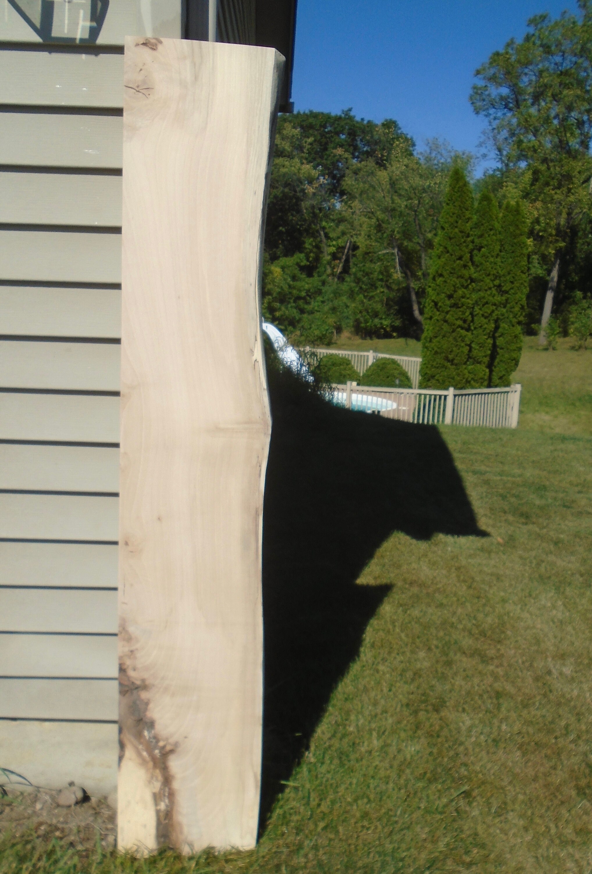 Spalted Maple Live Edge Lumber Slab Mantel Shelf Decor Art 60 Long 9 1/ ...