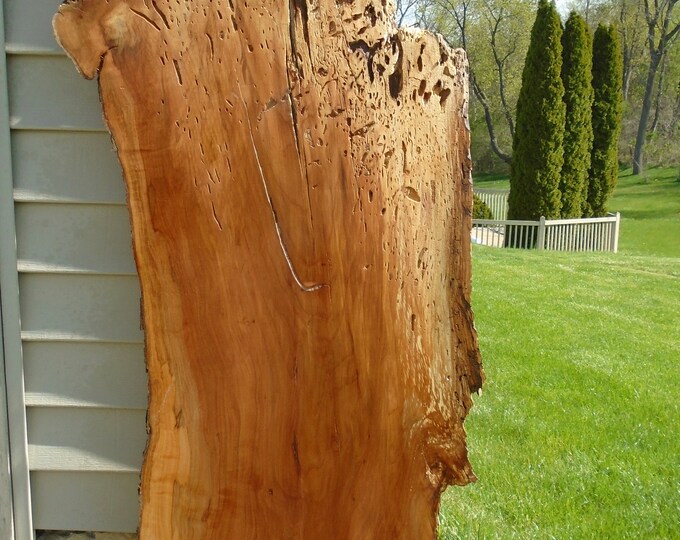 Apple Wood Live Edge Slab Kiln Dried 100 Year Old Table Decor Art 49 ...