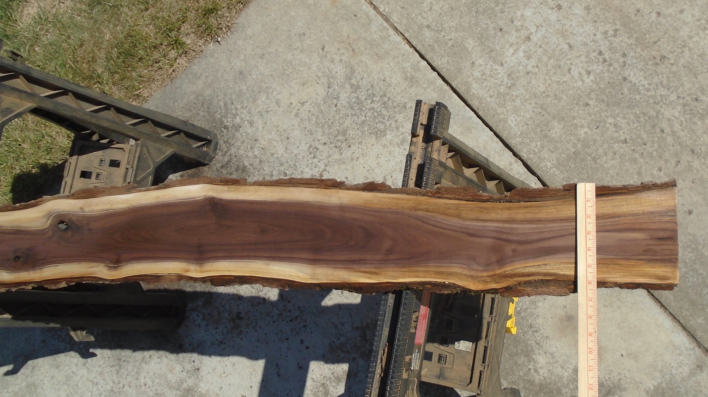 Black Walnut Live Edge Lumber Slab Fancy Grain Fish Mount - Etsy