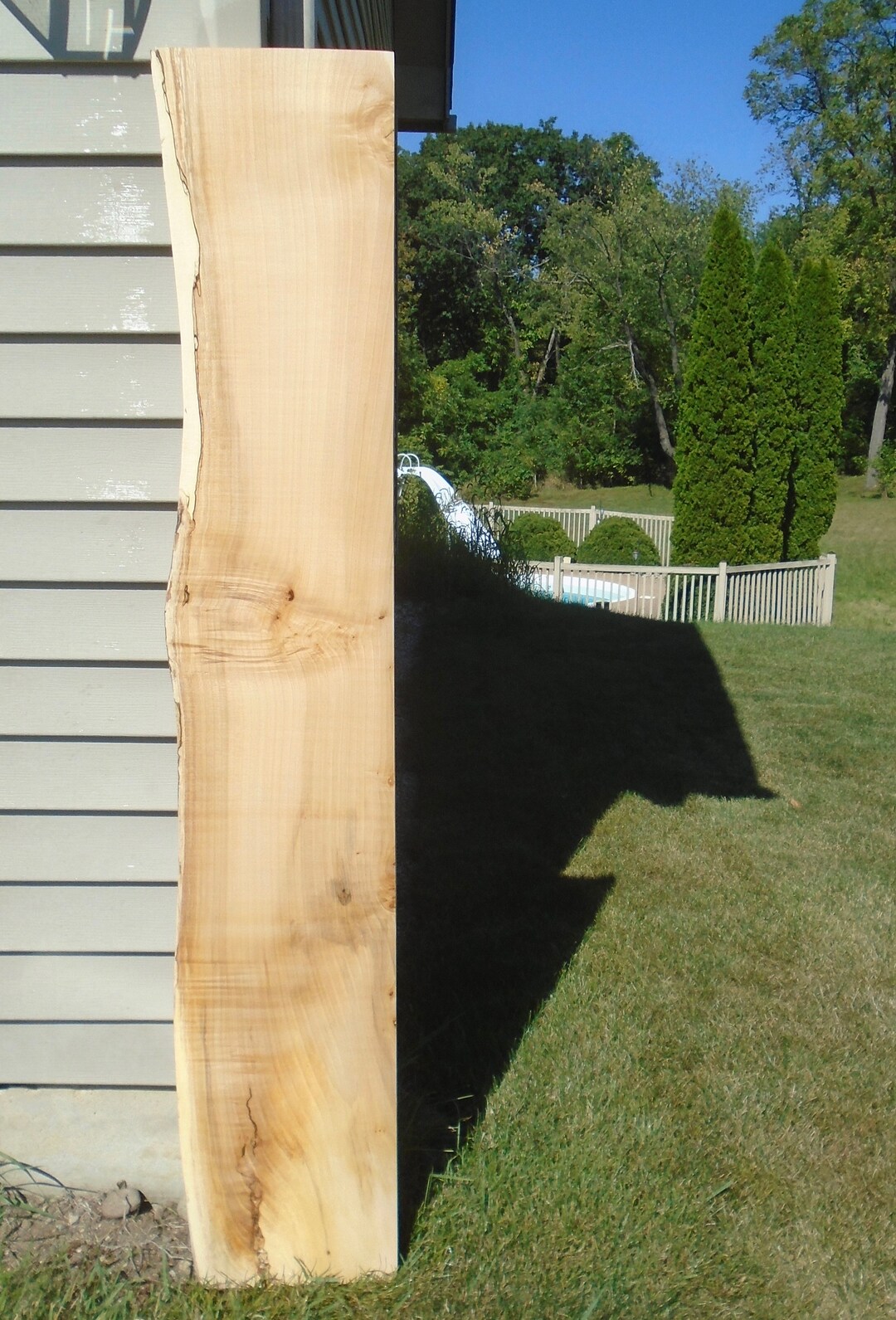 Spalted Maple Live Edge Lumber Slab Mantel Shelf Decor Art 60" Long 9 1 ...