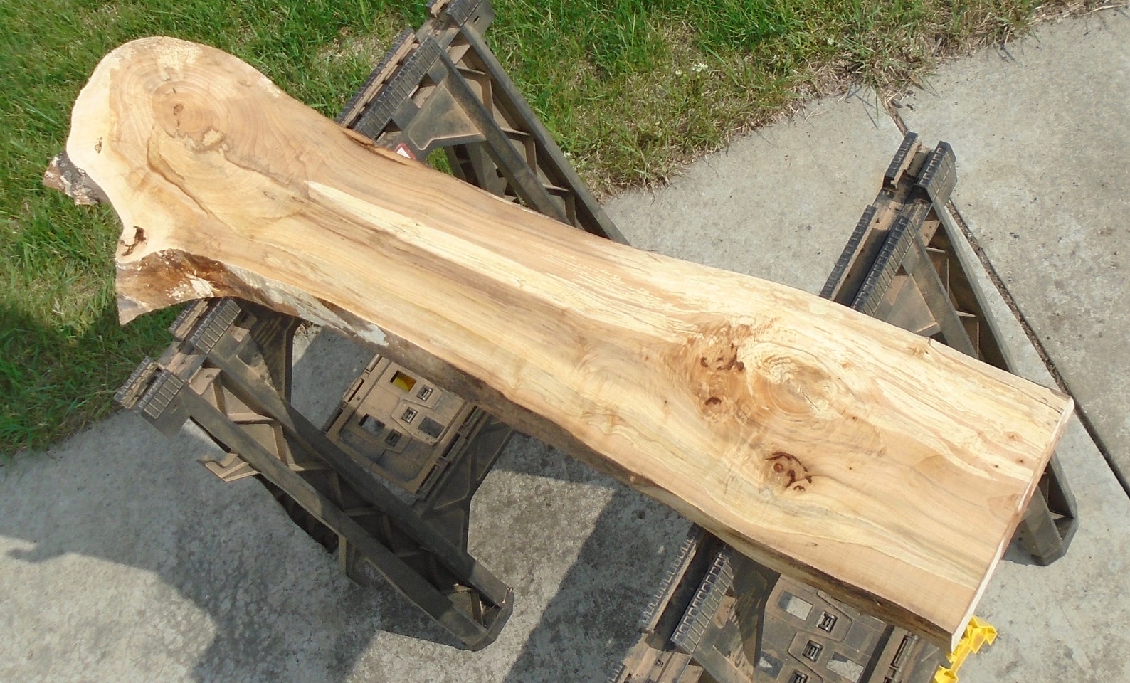 Spalted Maple Live Edge Lumber Slab Bar Shelf Decor Art Project 50 1/2 ...