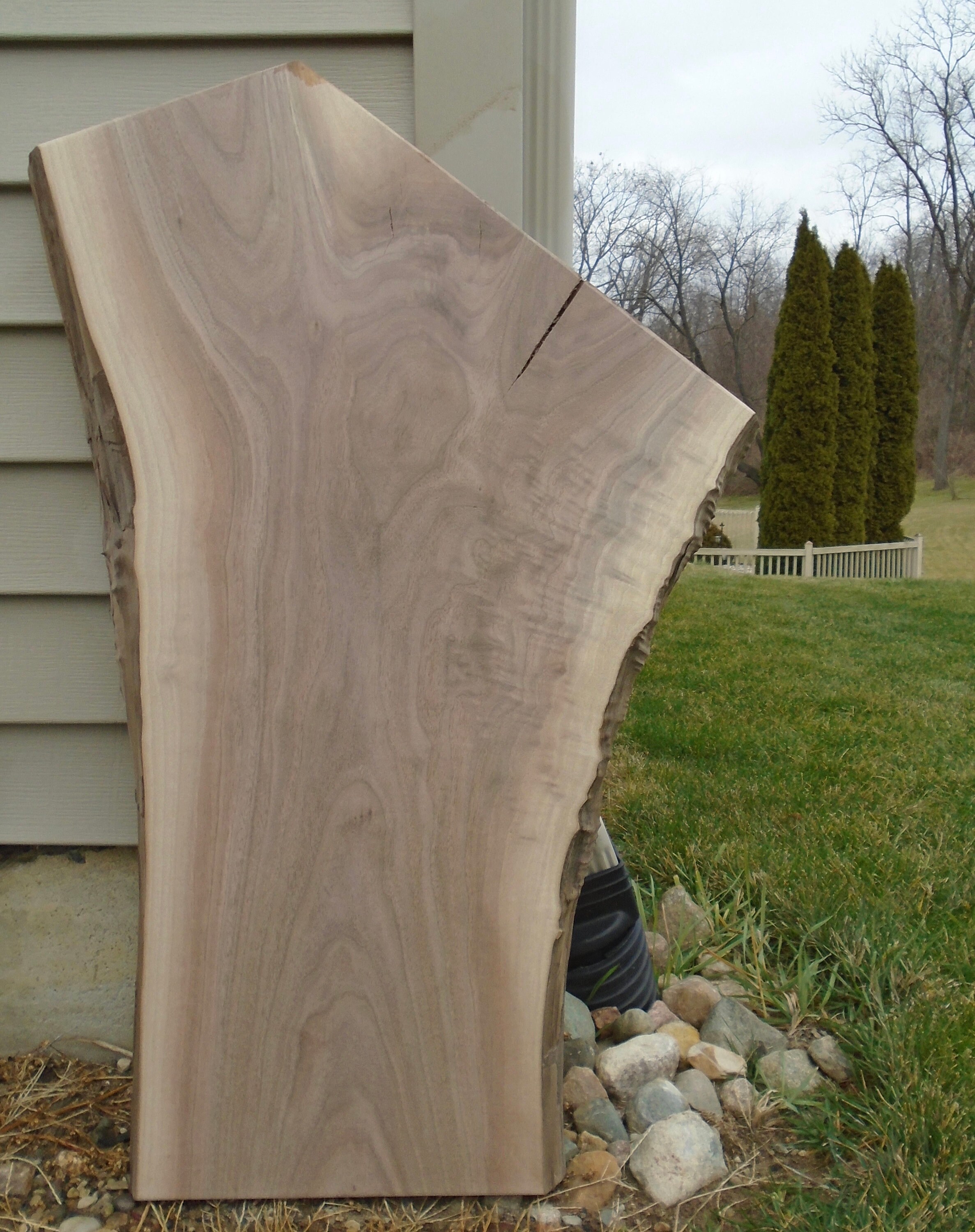 Black Walnut Live Edge Slab Kiln Dried Fancy Tiger Grain End Table ...