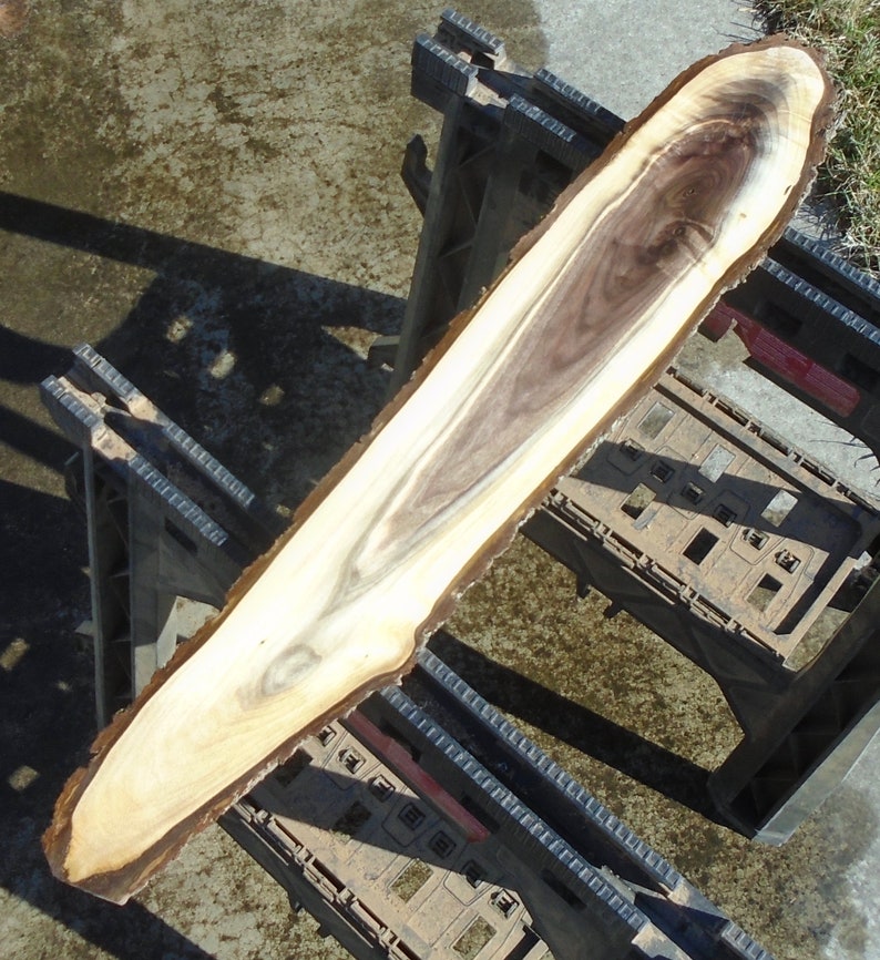 Black Walnut Live Edge Lumber Slab Fancy Grain Fish Mount Plaque Decor ...