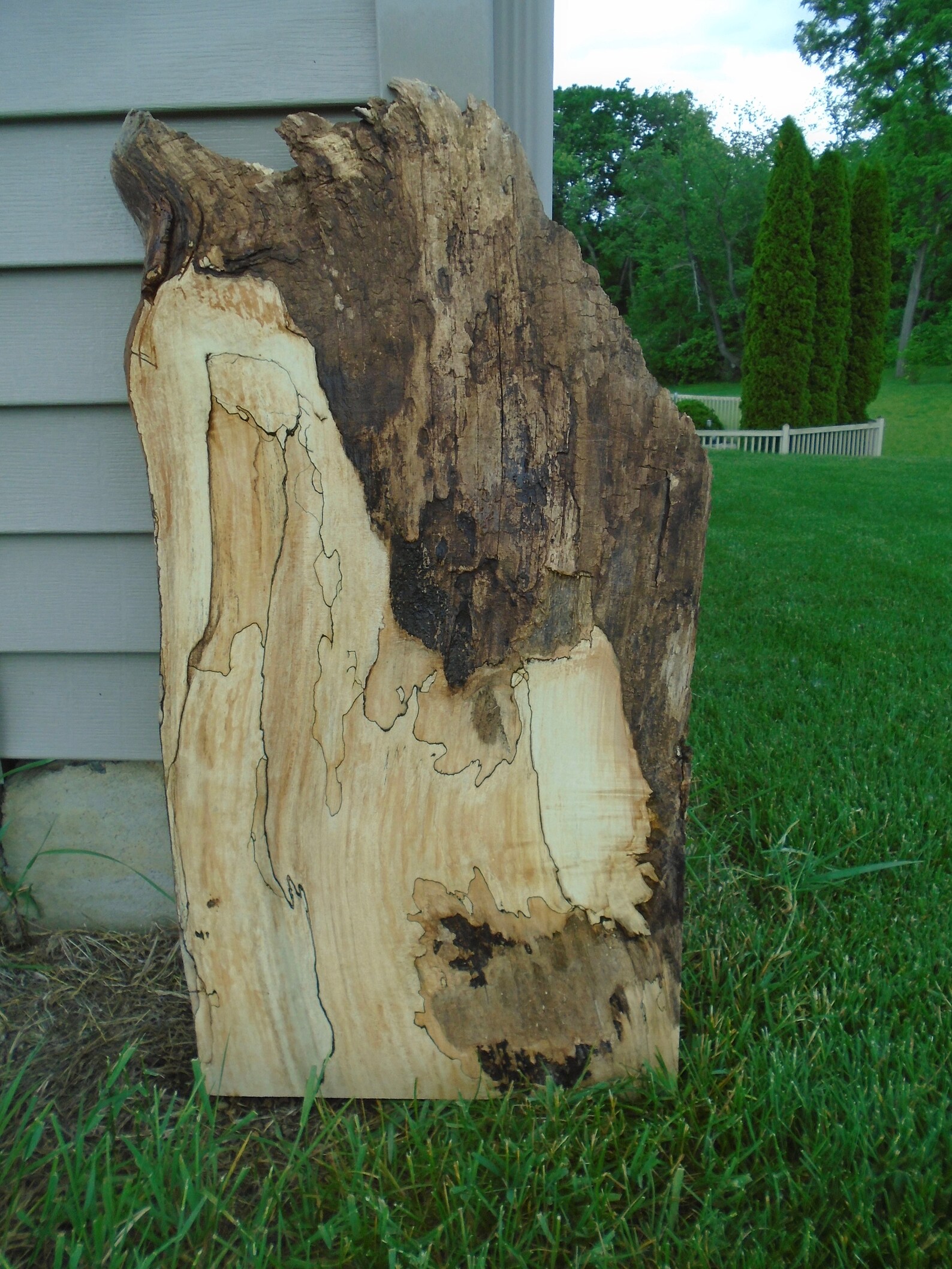 Spalted Maple Live Edge Lumber Slab Flame Pattern Table Decor Art ...