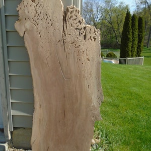 Apple Wood Live Edge Slab Kiln Dried 100 Year Old Table Decor - Etsy