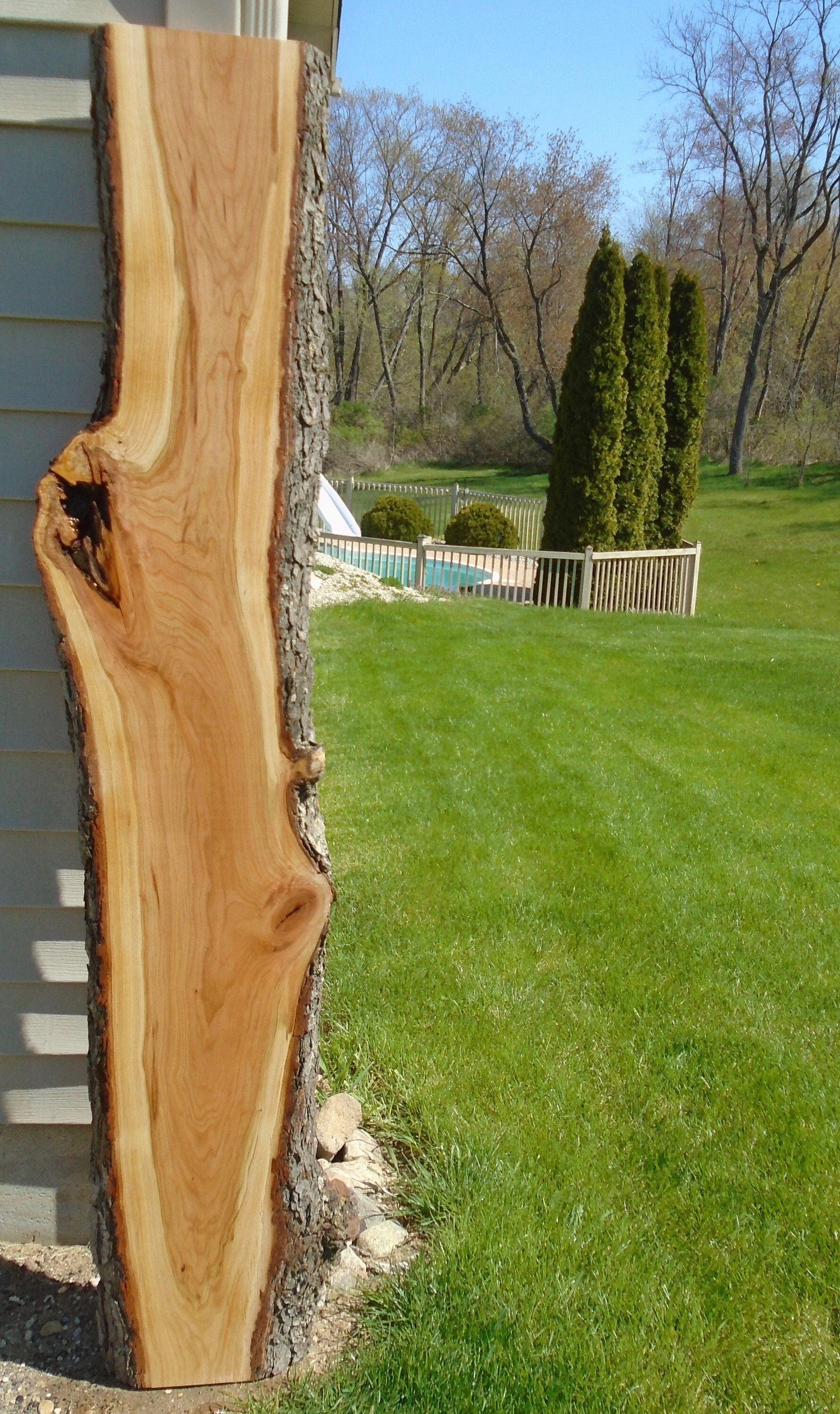 Cherry Live Edge Slab Kiln Dried Rustic Figured Bar Art Project 60 Long ...