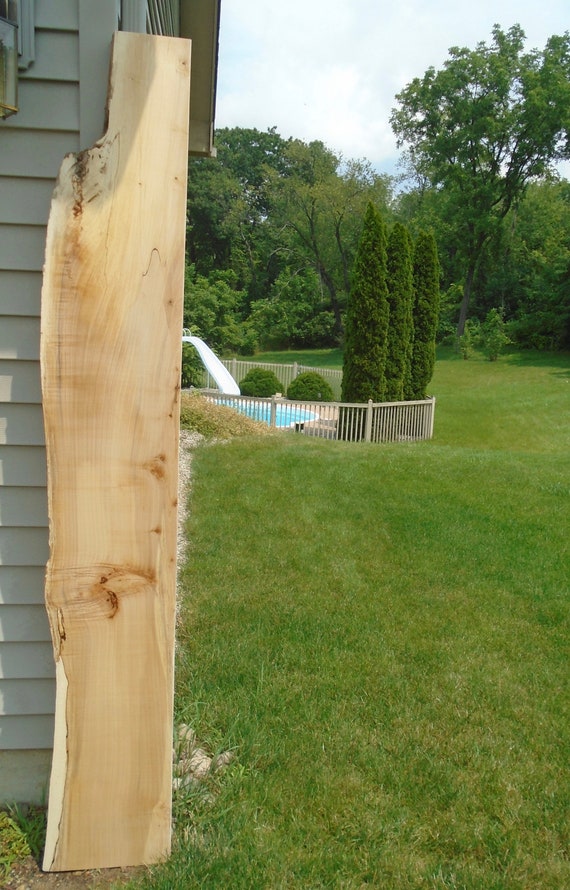 Spalted Maple Live Edge Mantel Shelf Decor Art 75 3/4 Inches - Etsy