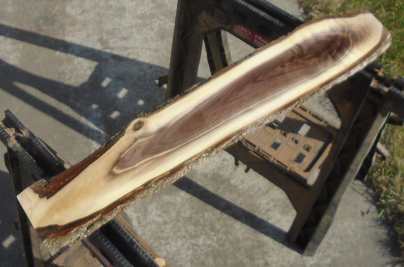 Black Walnut Live Edge Lumber Slab Fancy Grain Fish Mount Plaque Decor ...