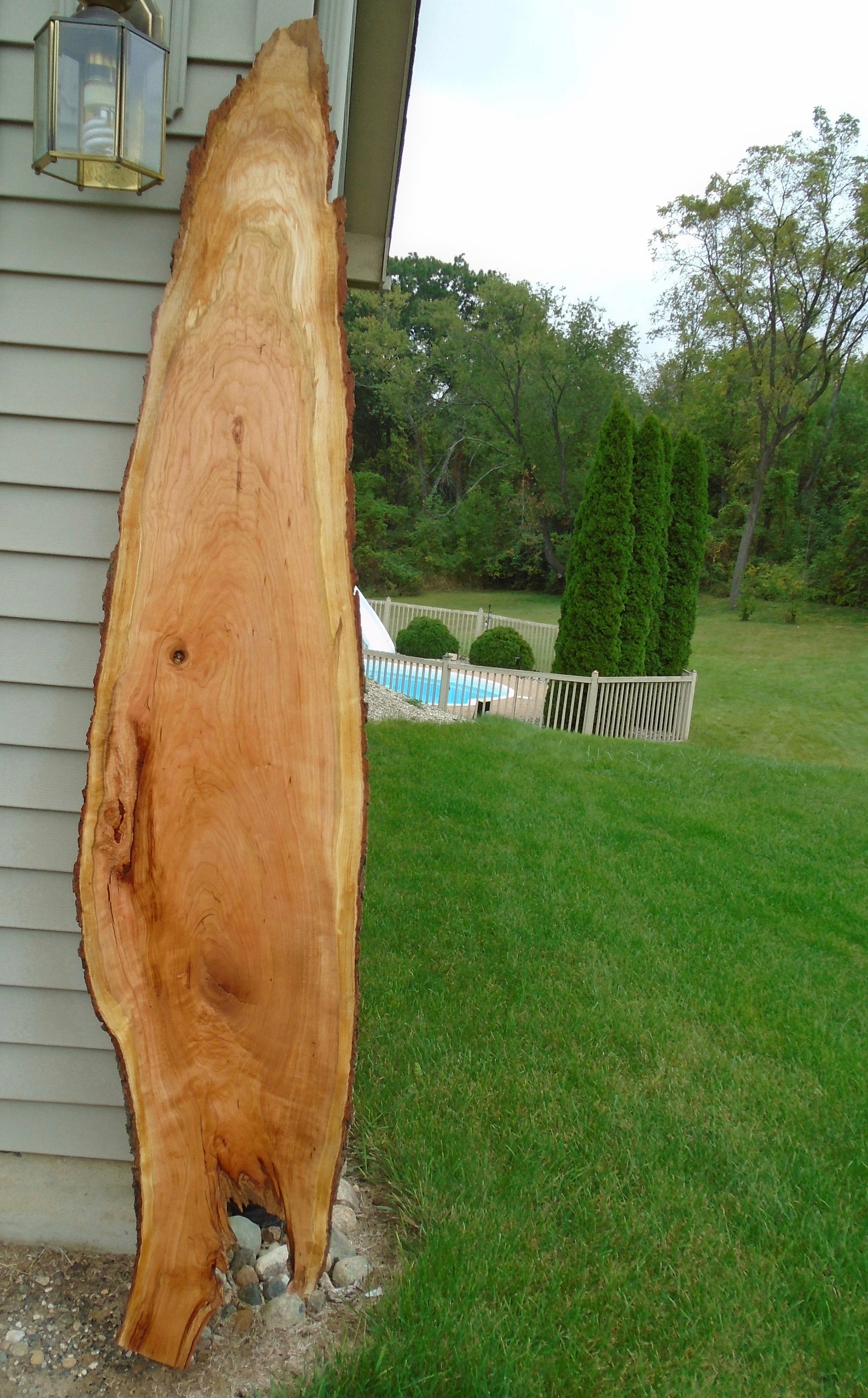 Cherry Live Edge Lumber Slab Art Project Mount Torch 78" Long 3/4 ...