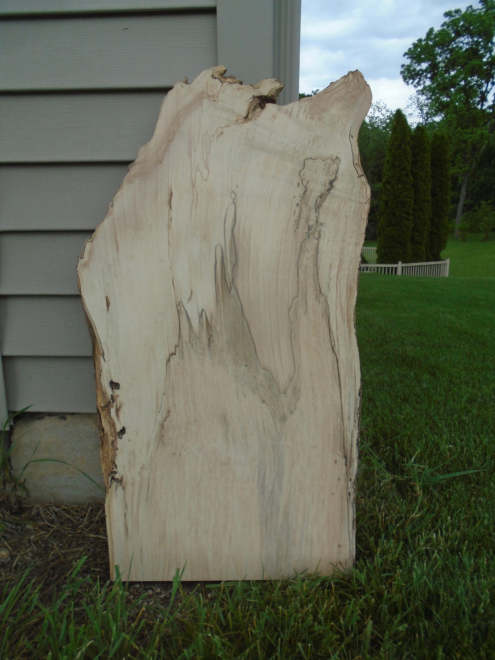 Spalted Maple Live Edge Lumber Slab Flame Pattern Table Decor Art ...