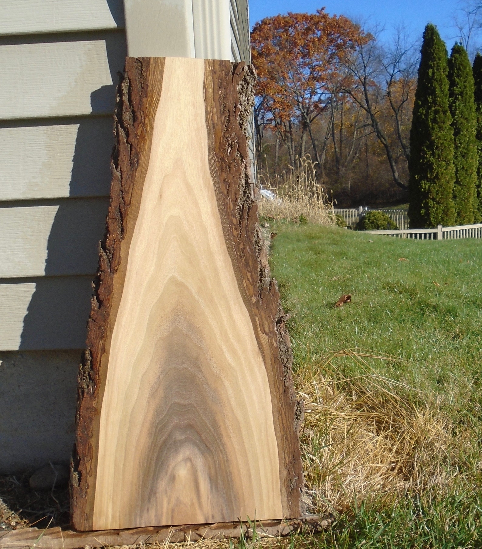 Black Walnut Live Edge Lumber Slab Flame Grain Plaque Decor - Etsy