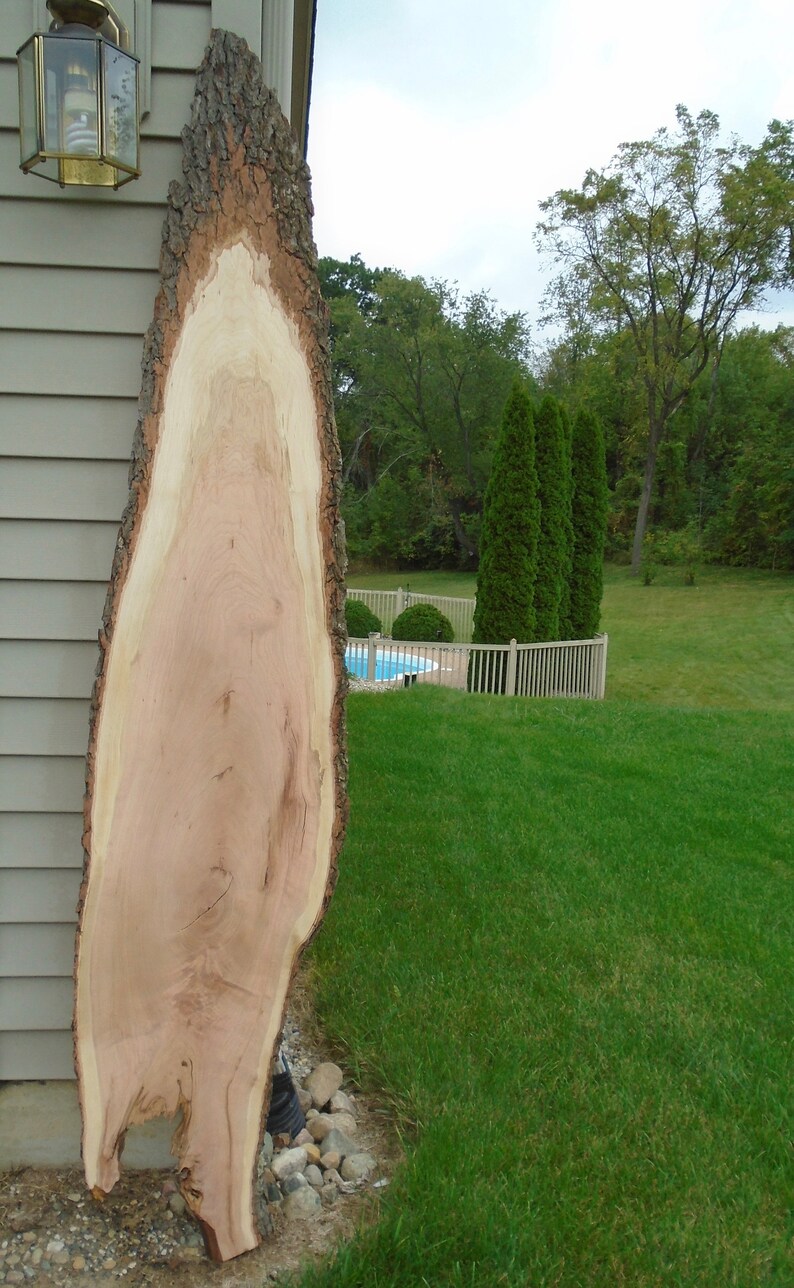 Cherry Live Edge Lumber Slab Art Project Mount Torch 78 | Etsy