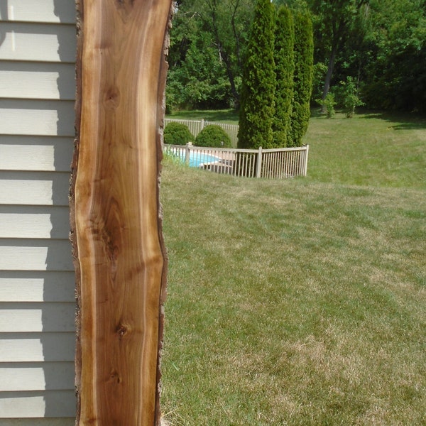 Live Edge Tree Shelf - Etsy
