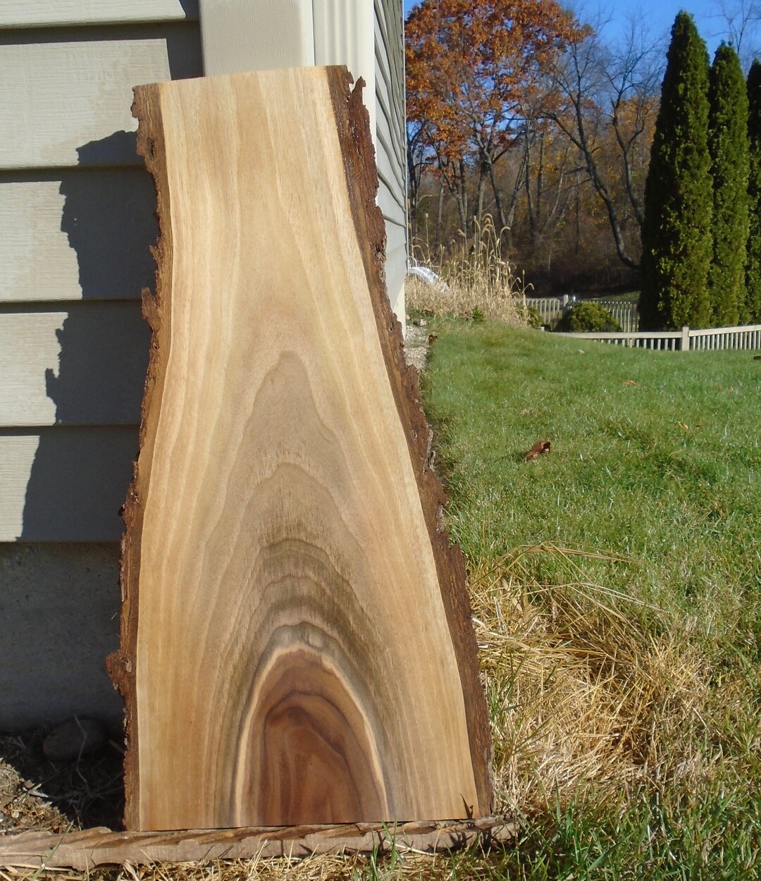 Black Walnut Live Edge Lumber Slab Flame Grain Plaque Decor Art Craft ...
