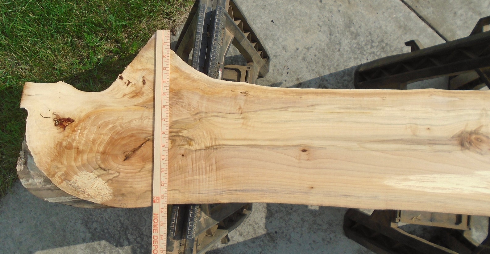 Spalted Maple Live Edge Lumber Slab Bar Shelf Decor Art Project 50 1/2 ...