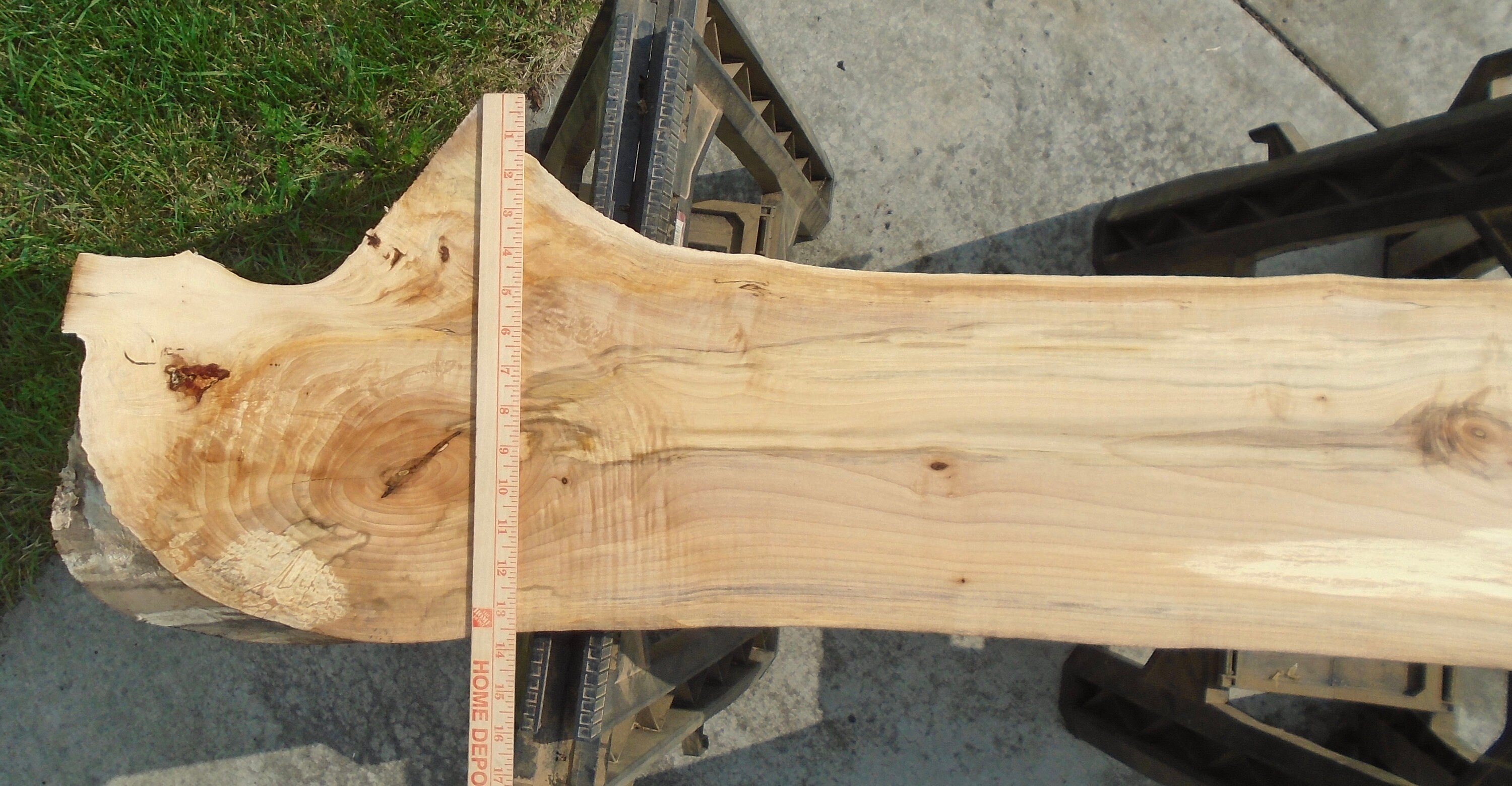Spalted Maple Live Edge Lumber Slab Bar Shelf Decor Art Project 50 1/2 ...