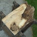 Spalted Maple Live Edge Lumber Slab Flame Pattern Table Decor Art ...