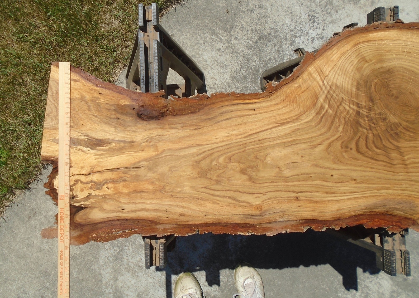 White Oak Live Edge Slab Spalted Fancy Grain Rustic Table Art | Etsy