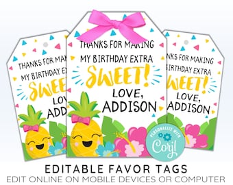 Pineapple Round Gift Tags Set of 10 - Etsy