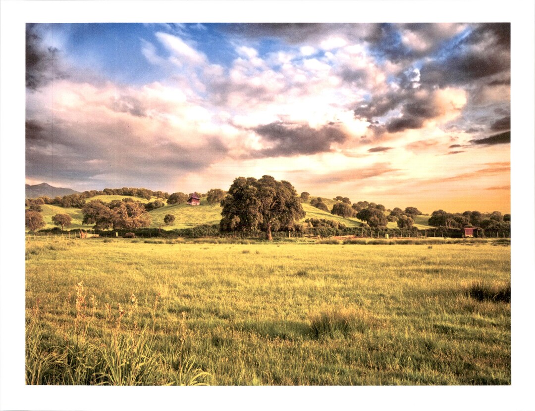 2024 Repro Laminated Art Print-8.5x11 Let's Sit Under the Old Oak Tree ...