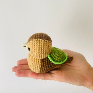 Crochet Pattern - Turtle Duck, Crochet Toys, Easy Pattern, Duck Crochet ...