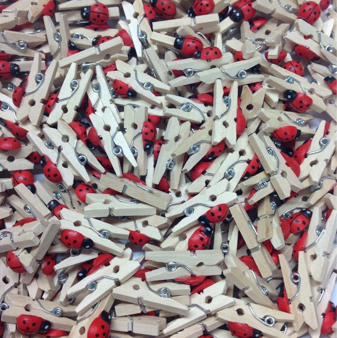 25mm Natural Pegs with Ladybirds Plain Small Wooden Craft Pegs Mini ...