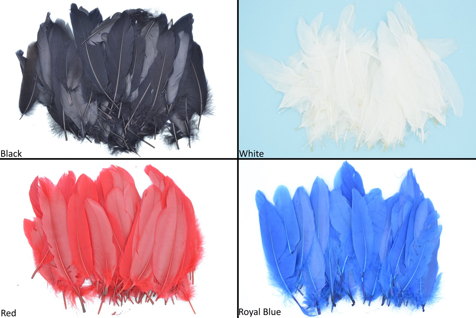 Quill Craft Feathers - Choice of Colours & Quantities - Card Making ...