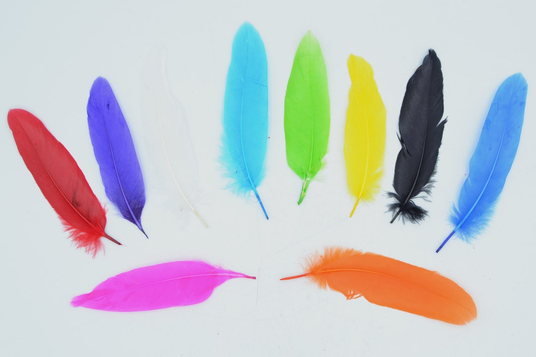 Quill Craft Feathers - Choice of Colours & Quantities - Card Making ...