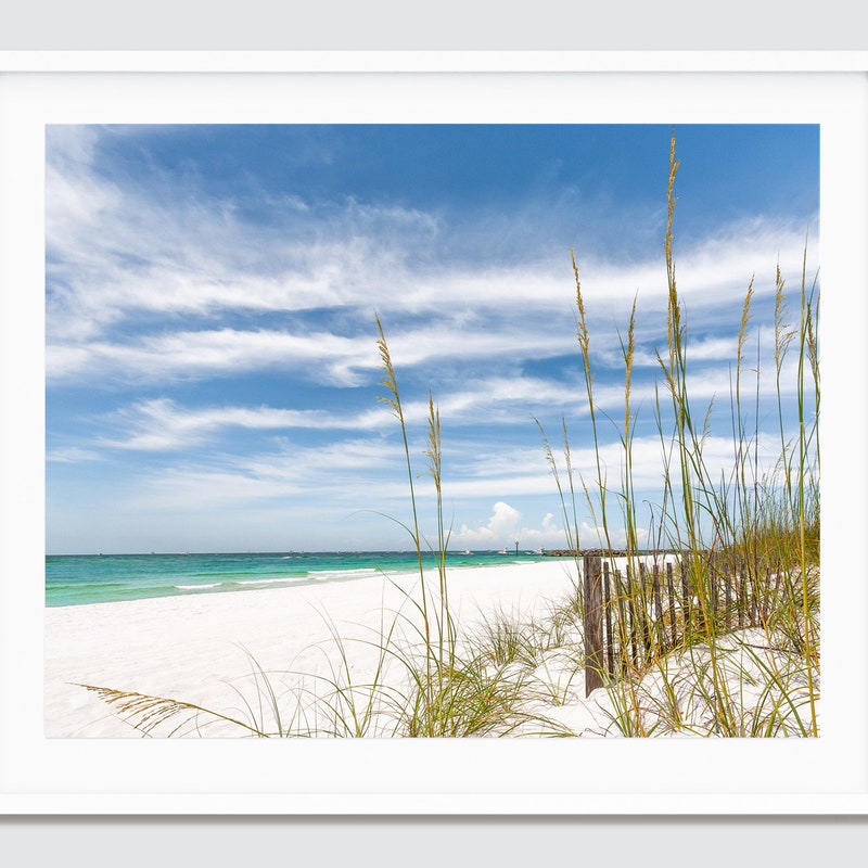 Florida Photography - Etsy