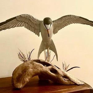 Endangered Least Tern Hovering Over Driftwood - Etsy