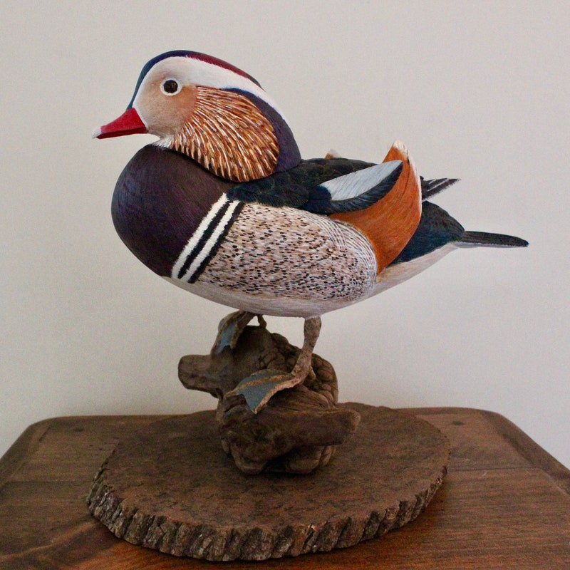 Mandarin Duck Art - Etsy