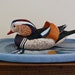 Mandarin Duck on a Pond - Etsy