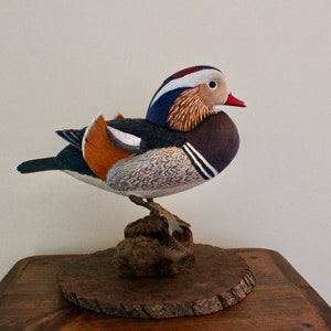 Standing Mandarin Duck - Etsy