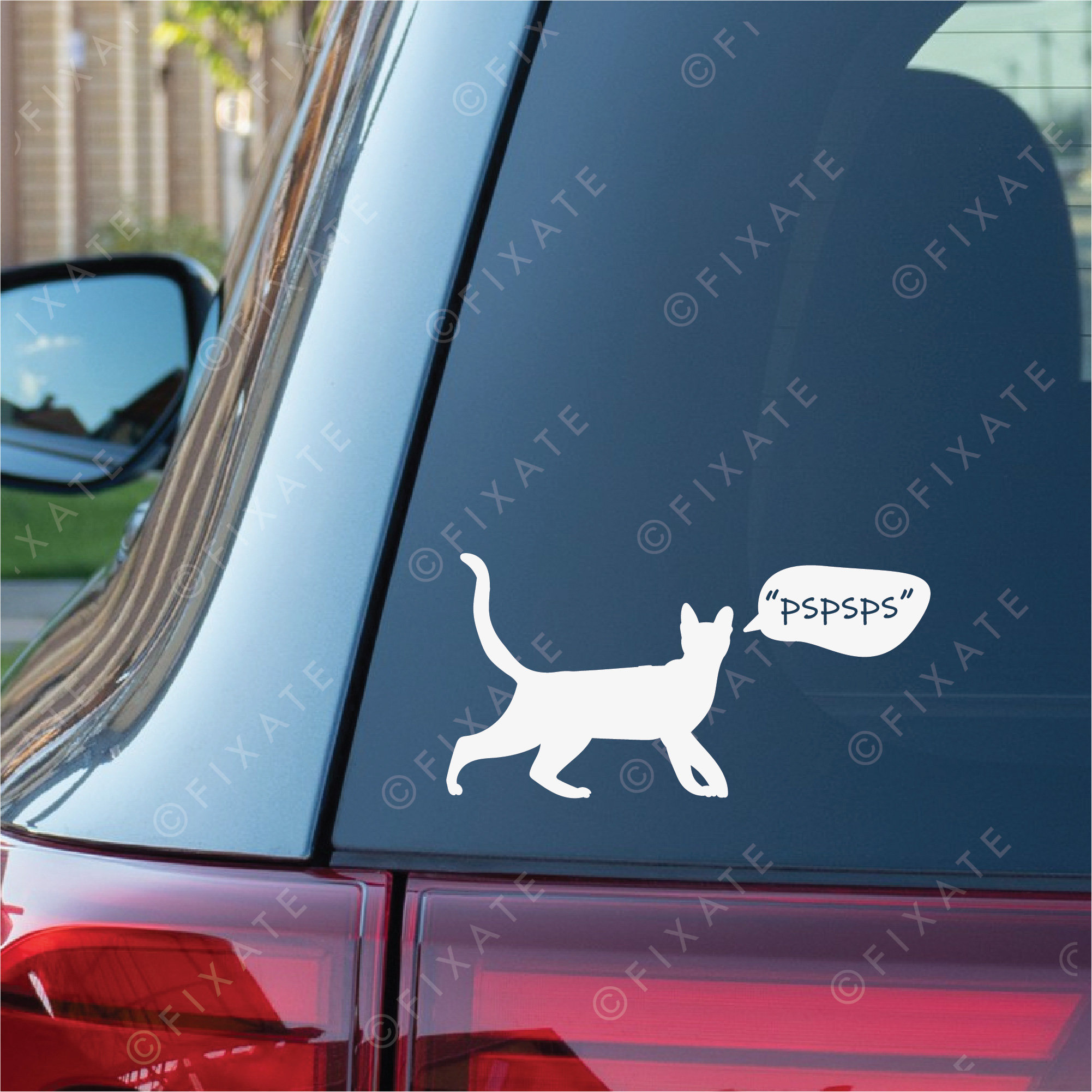 Crazy Cat Lady Car Decal