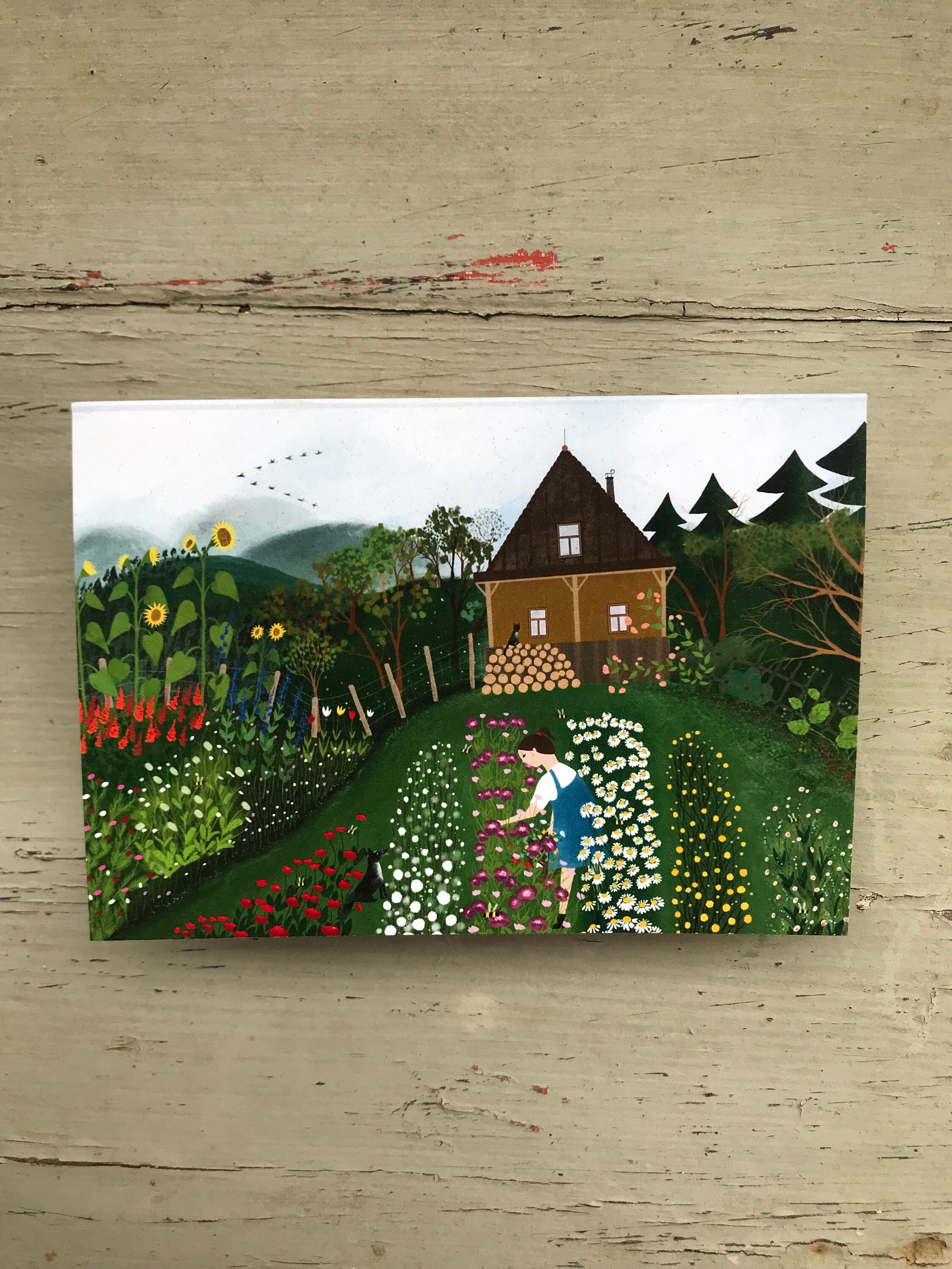 Eco Friendly Cards / Various Types / Illustration - Etsy