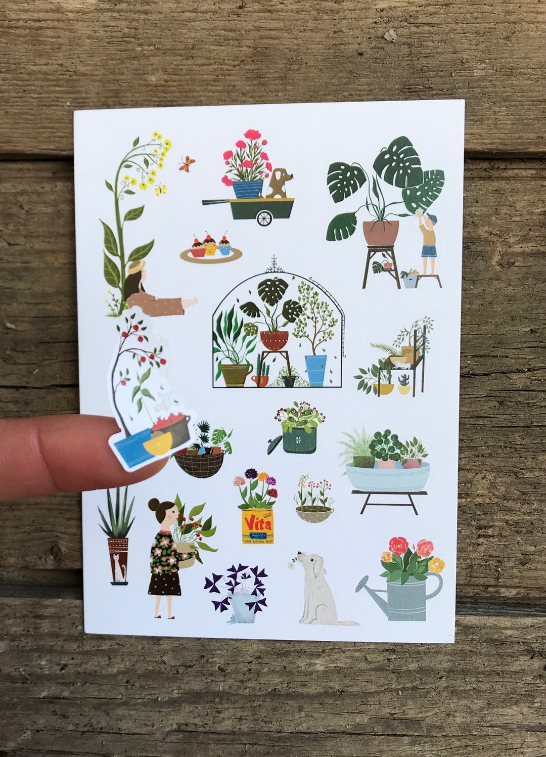 Stickers on Postcards / Illustrations / Variations / - Etsy