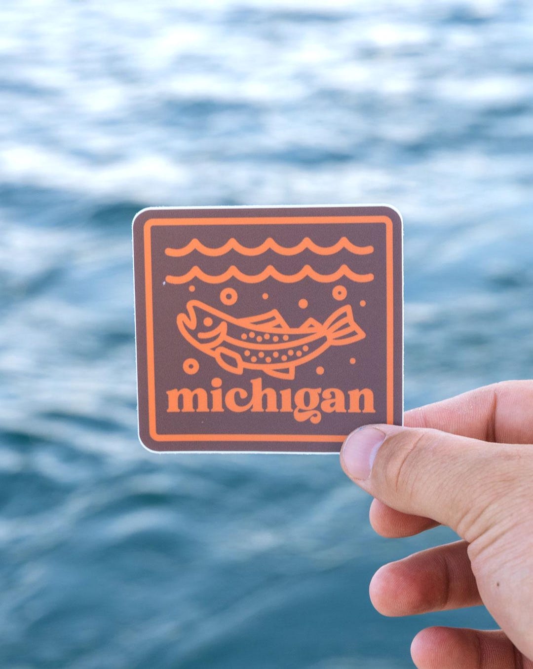 Retro Fish Michigan Sticker - Etsy