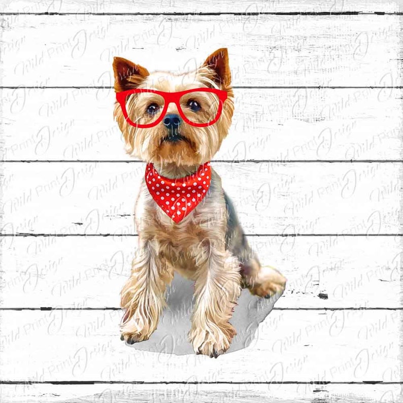 Yorkie Clipart II Yorkshire Terrier PNG Yorkie Gifts - Etsy