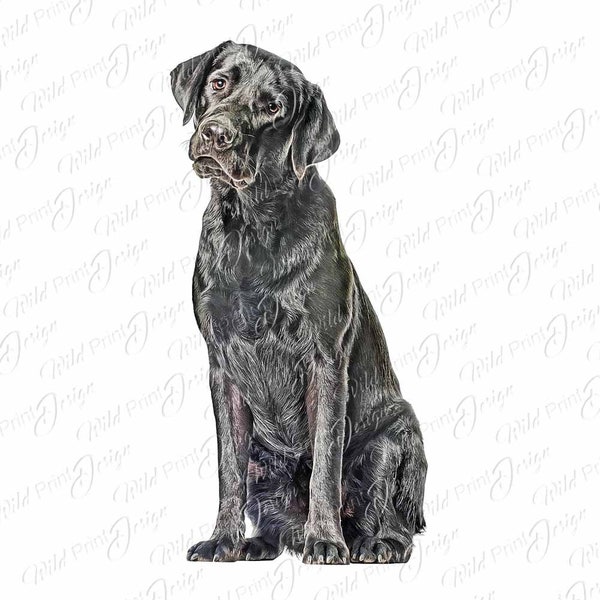 Black Lab Art - Etsy