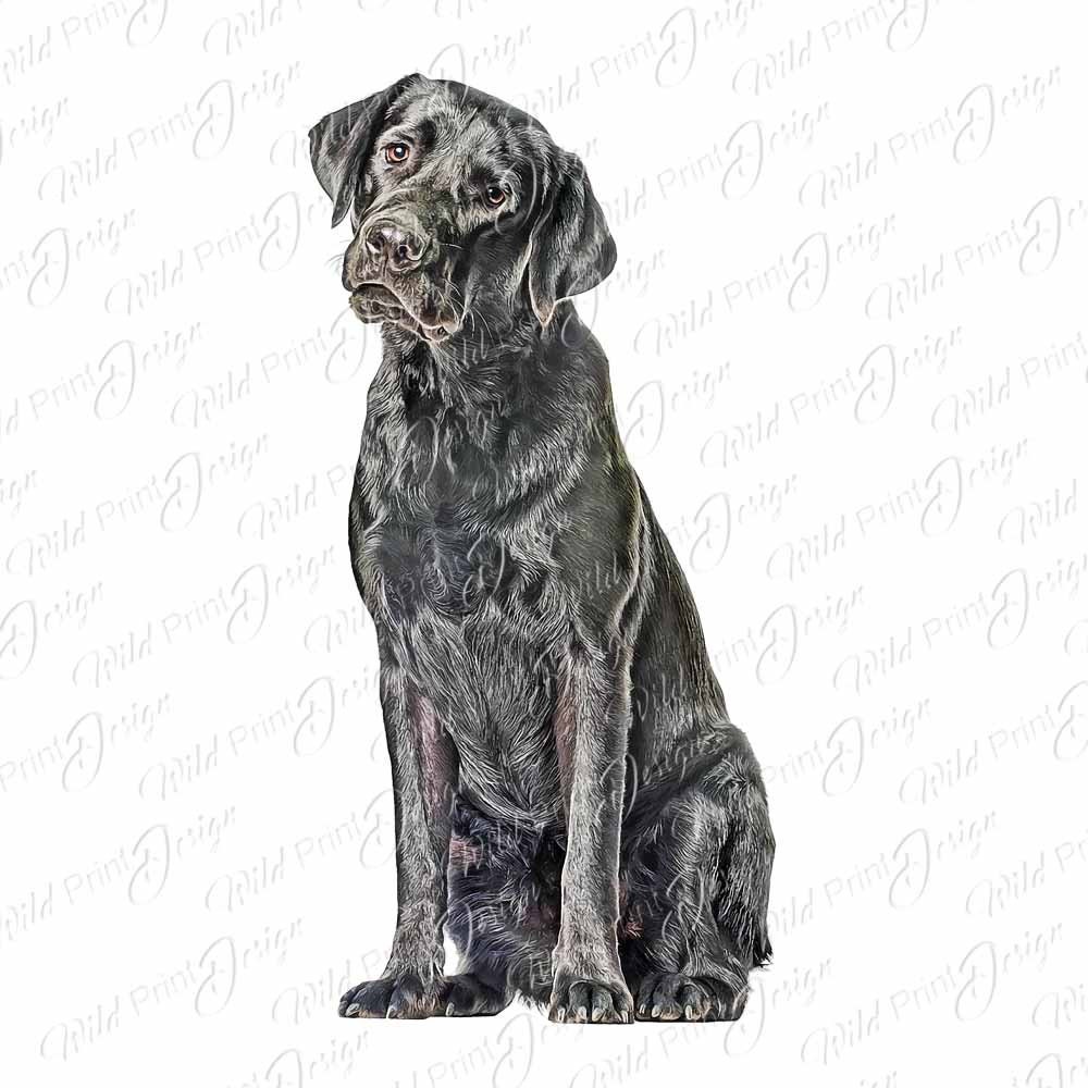 Black Labrador Retriever Dog Clipart Design PNG Black Lab - Etsy
