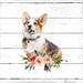 Pembroke Welsh Corgi Clipart, PNG, Corgi Gifts, Instant Download ...