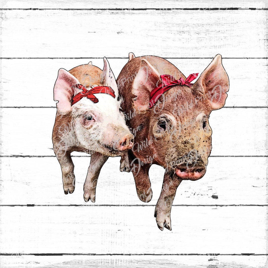 Pigs Clipart, Pigs PNG, Sublimation Design Graphics, Instant Download ...