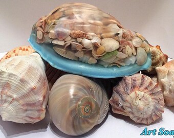 Sea shell art | Etsy