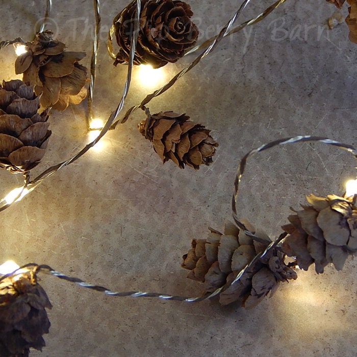 LED Lights MINI Pine Cone Lights Fall Lights Autumn Lights - Etsy