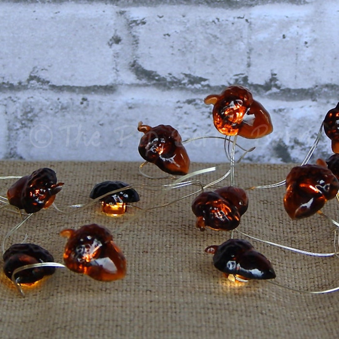 Acorn LED Lights, MINI Fall Lights, Outdoor Lights, Acorn String Lights ...