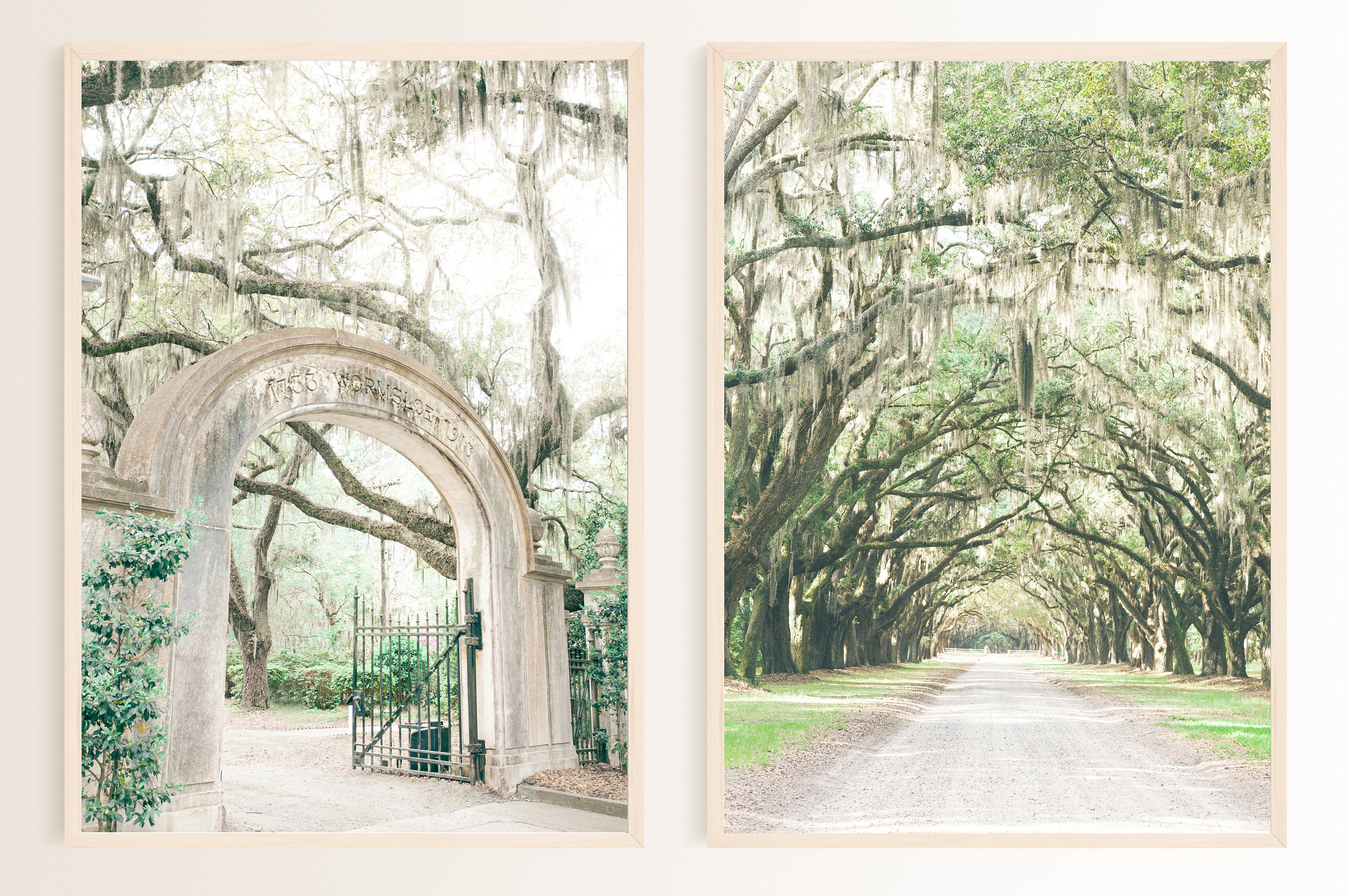 Savannah Photography, Savannah Print Set, Wormsloe Plantaion, Wormsloe ...