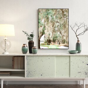 Charleston SC, Live Oak Print, Lowcountry Decor, Middleton Place ...