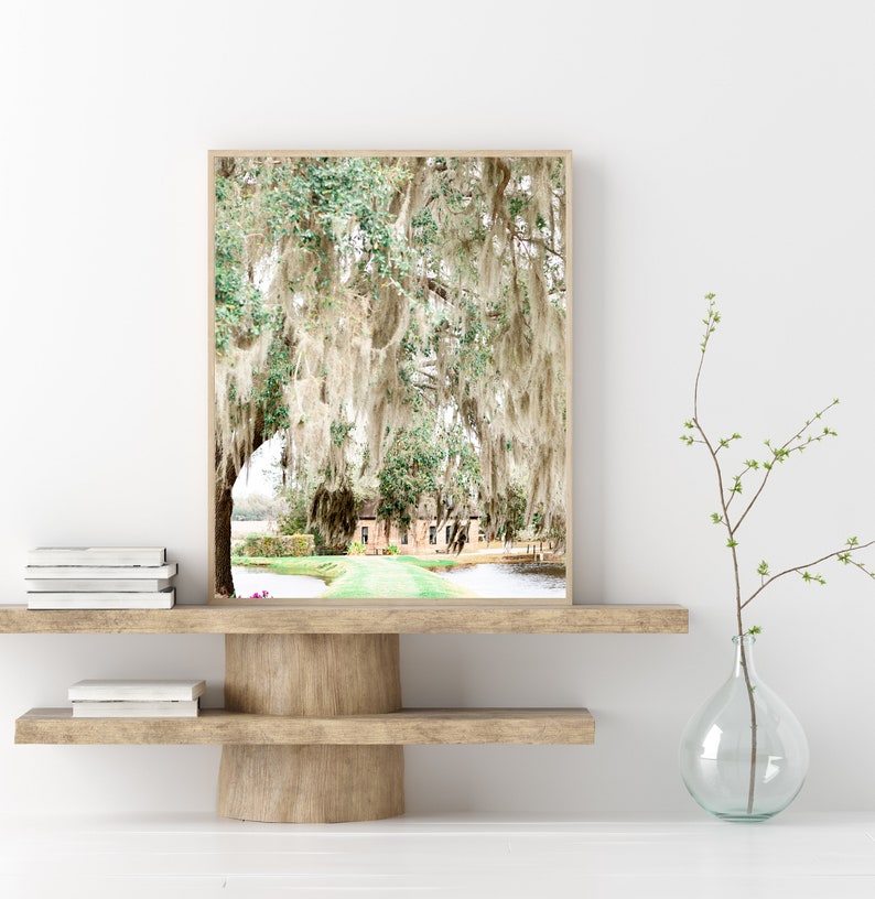 Charleston SC, Live Oak Print, Lowcountry Decor, Middleton Place ...