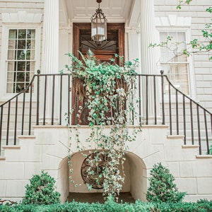 Charleston Photography Print Set, Print Set of 6, Charleston SC ...