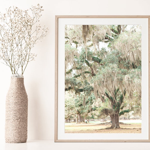 Print Oak Tree Spanish Moss - Etsy